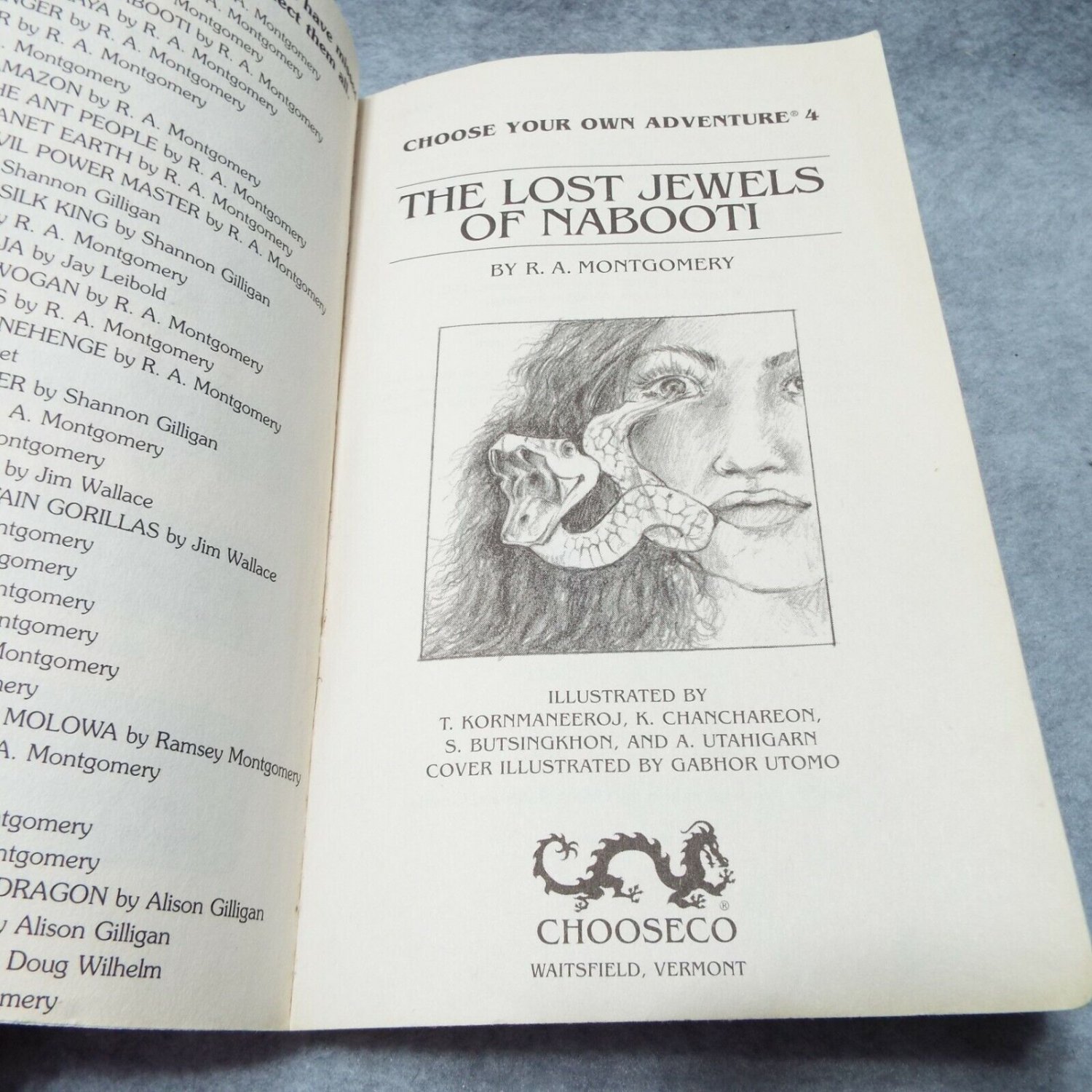 CYOA The Lost Jewels of Nabooti Choose Your Own Adventure Book