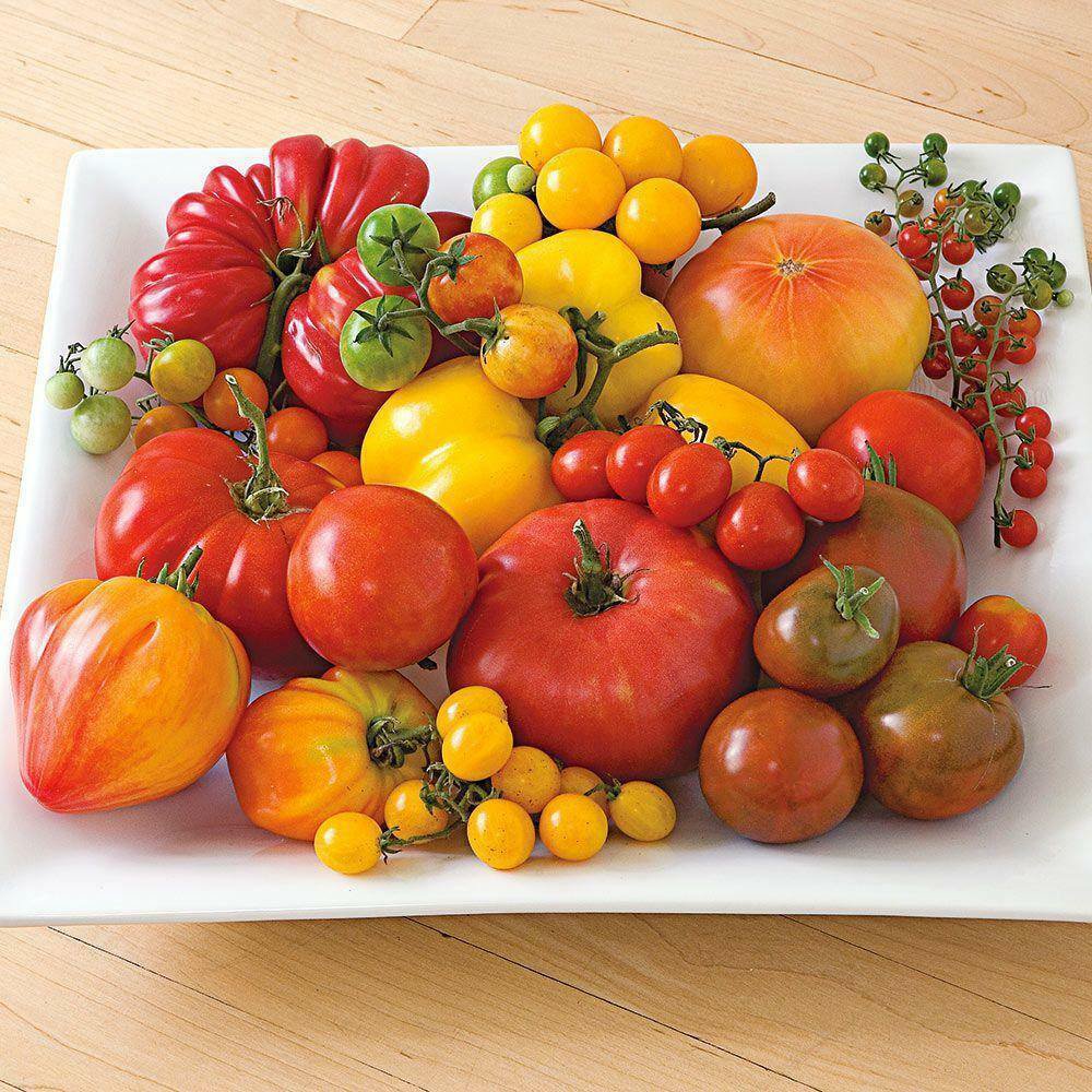 TOMATO Heirloom Mix 40 Seeds ALL TYPES MIXED spring summer vegetable ...