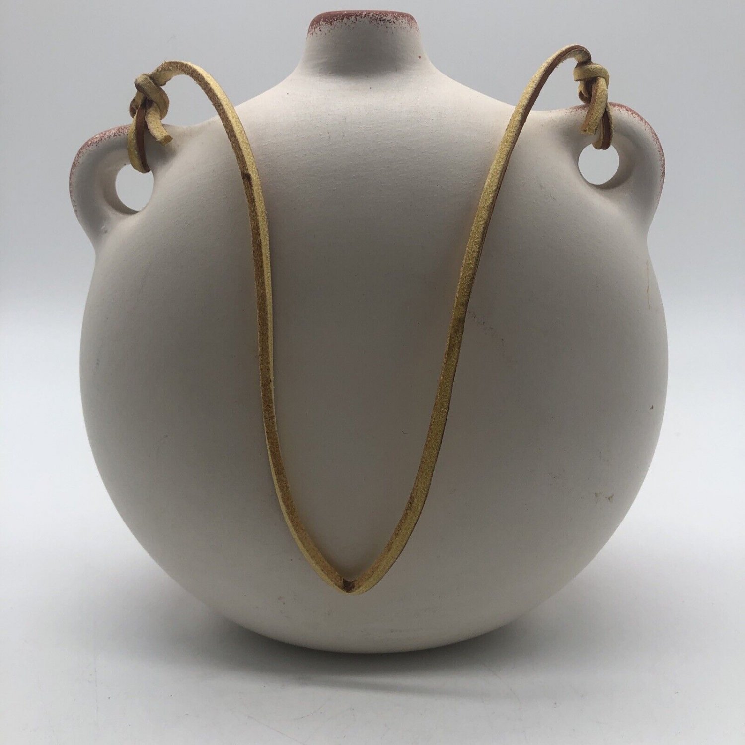 Dineh Navajo Tribe Pottery Mauve Beige Mountains Canteen Vase Signed 7.5”