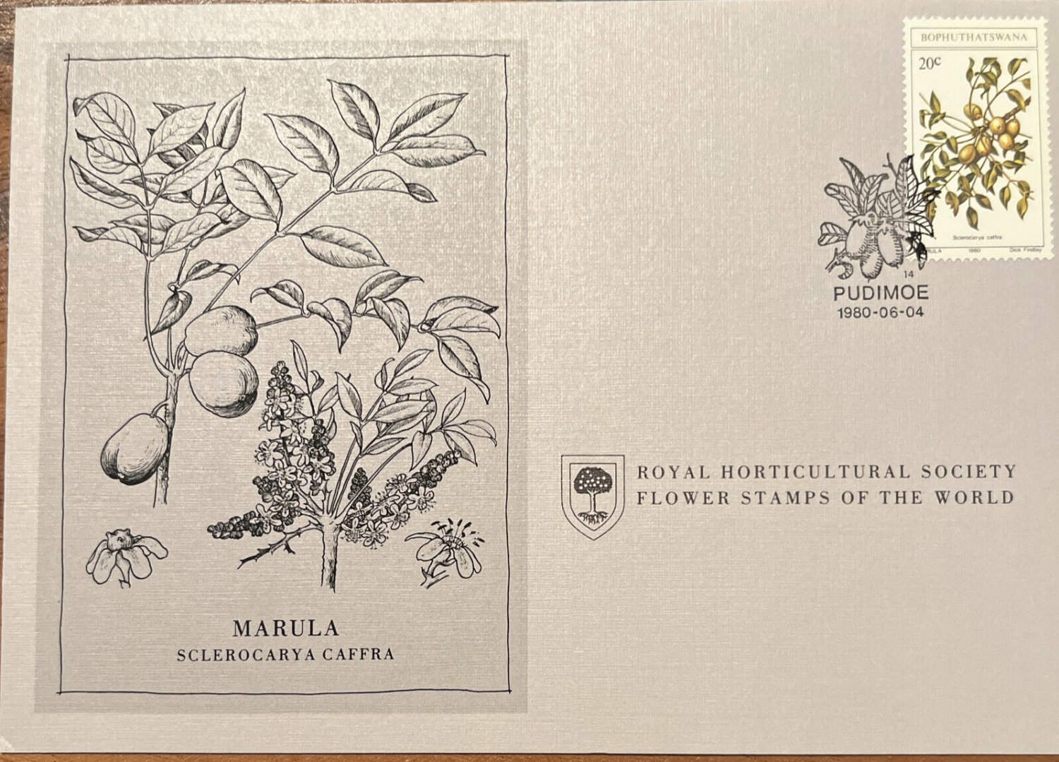 First Day Issue Royal Horticulture Society Flower Stamp 1980 Marula Pudimoe