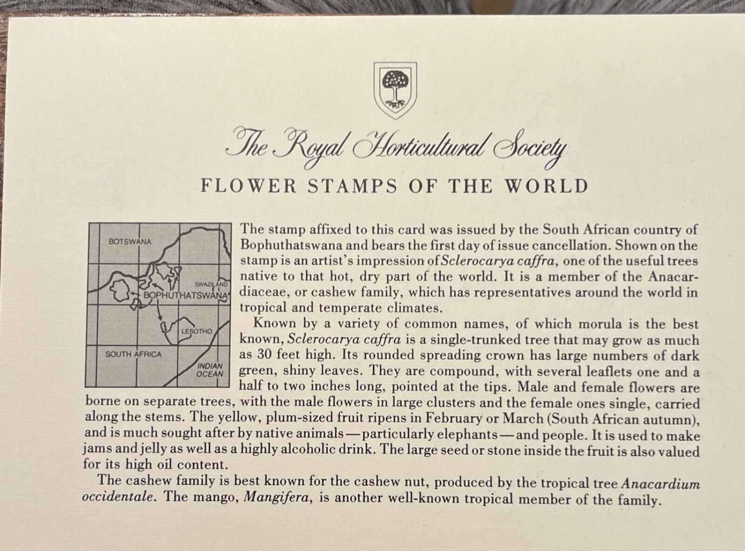 First Day Issue Royal Horticulture Society Flower Stamp 1980 Marula Pudimoe