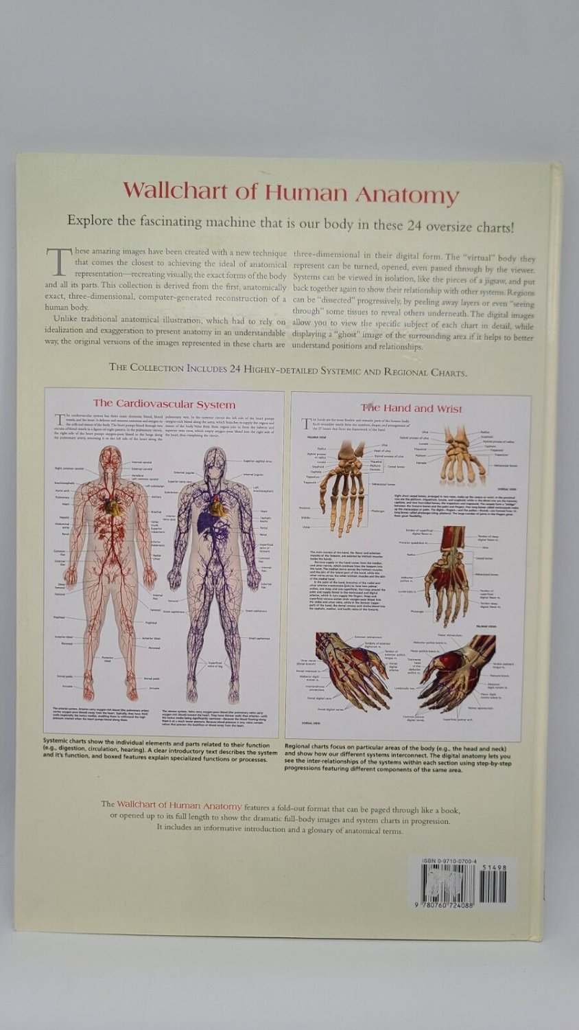 WALL CHART OF HUMAN ANATOMY By Thomas Mccracken - Hardcover VGC