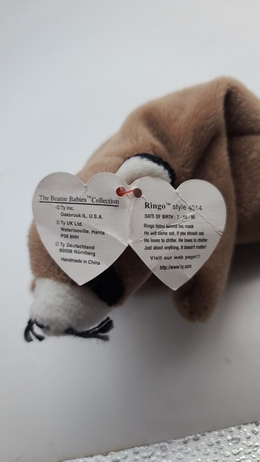 Ty Beanie Baby Ringo Raccoon 4014 1995