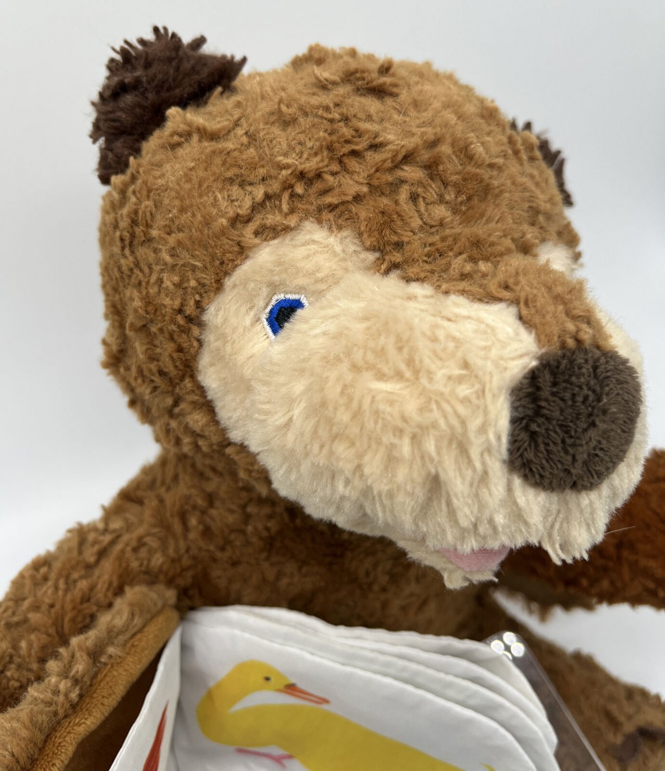 Zoobies Eric Carle Brown Bear Book Buddy Plush Storybook Stuffed Animal ...