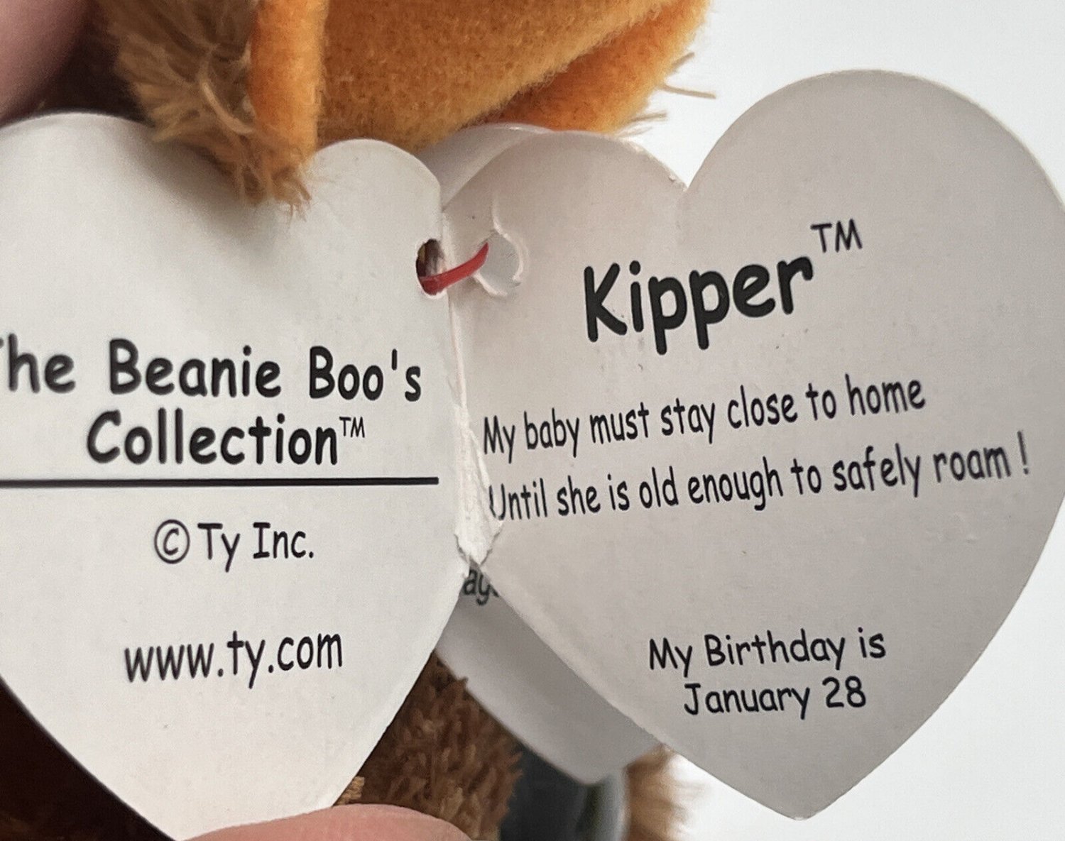 Beanie Boos 6" KIPPER Kangaroo Plush Boo Sparkly Glitter Eyes Baby