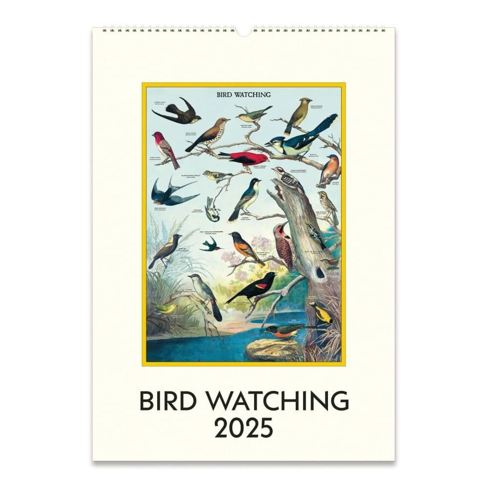 Birdwatching 2025 Wall Calendar