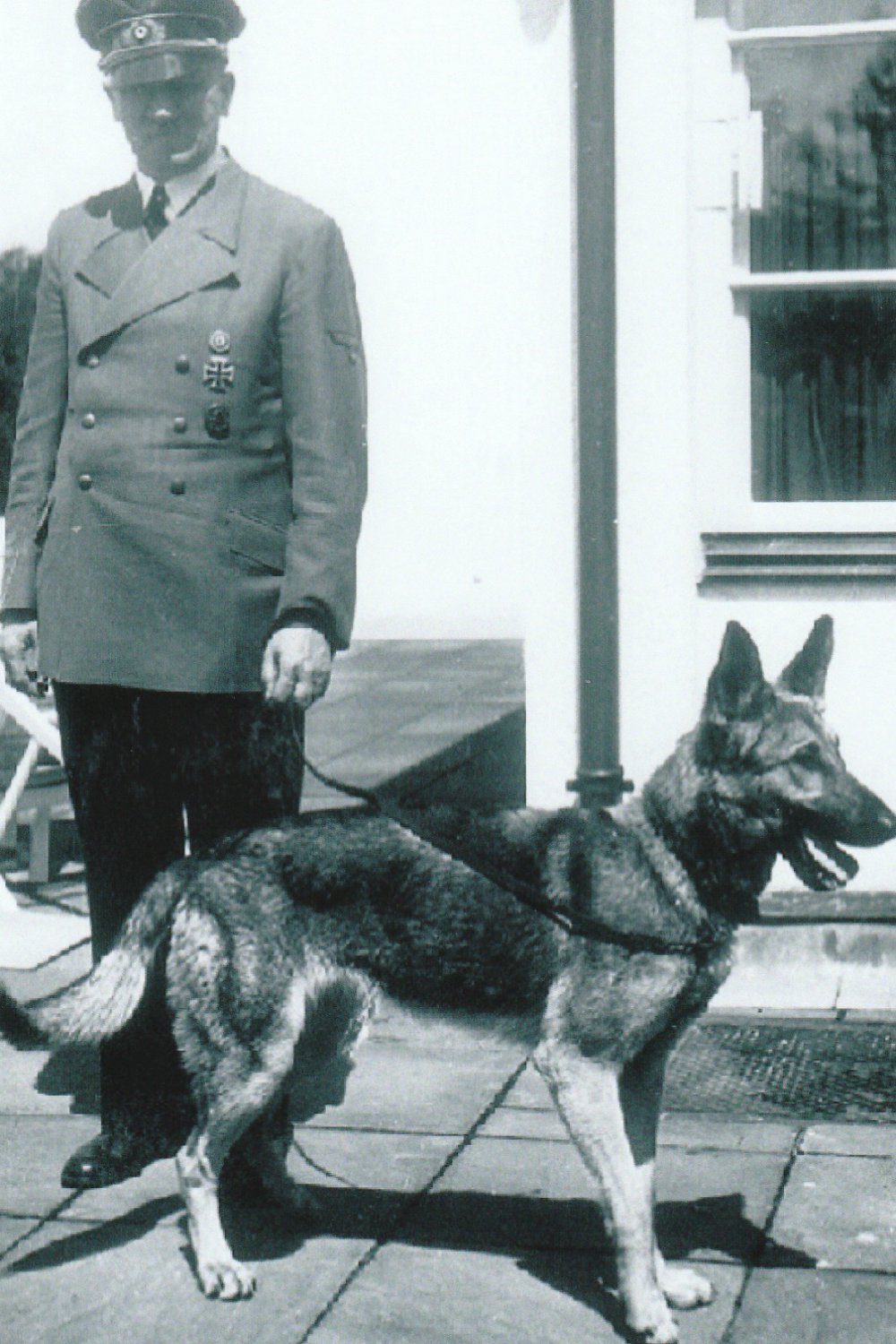 GERMAN WW2 Photo-- Adolf Hitler With Dog Blondi