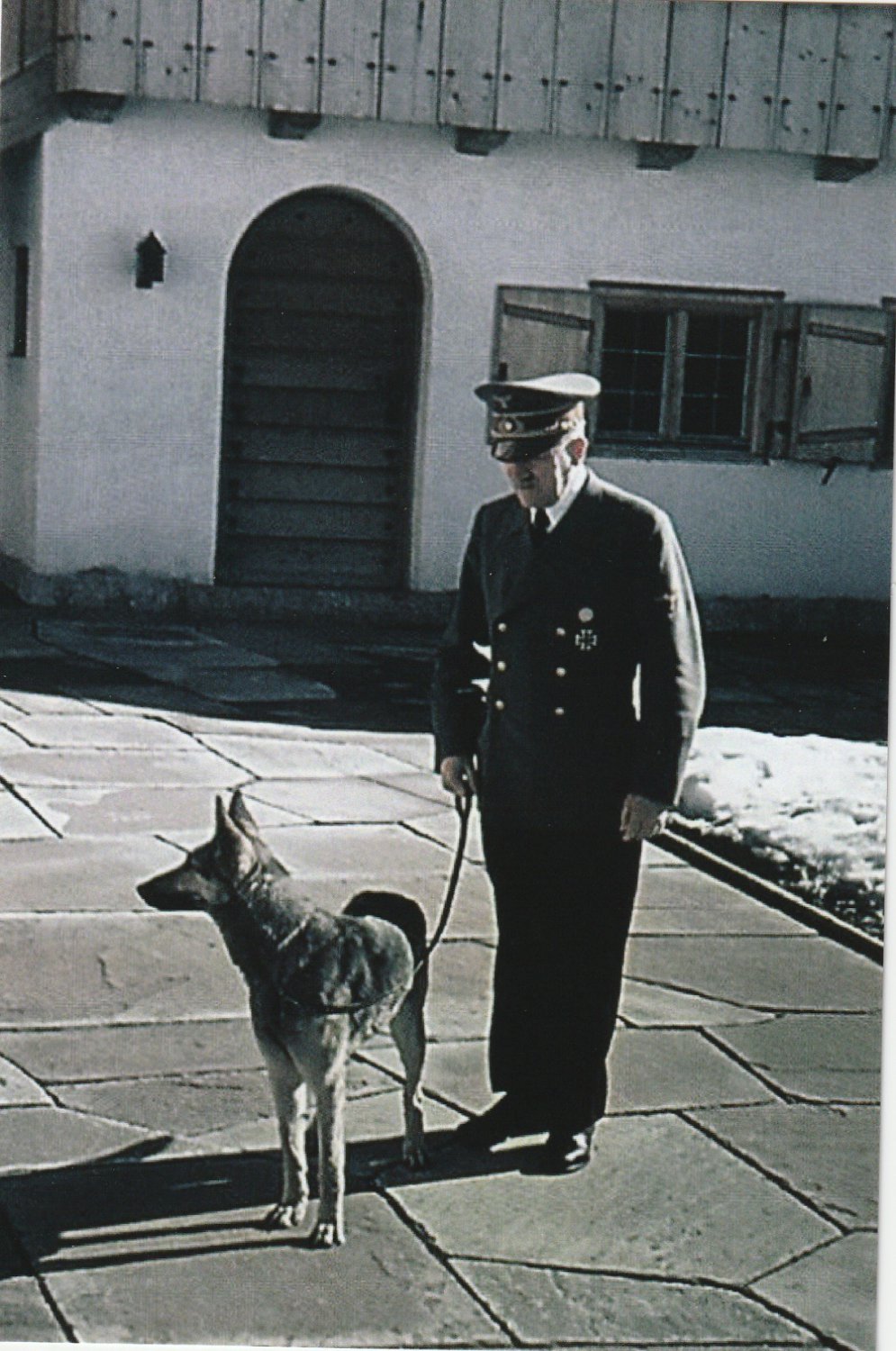 GERMAN WW2 Photo-- Adolf Hitler With Dog Blondi