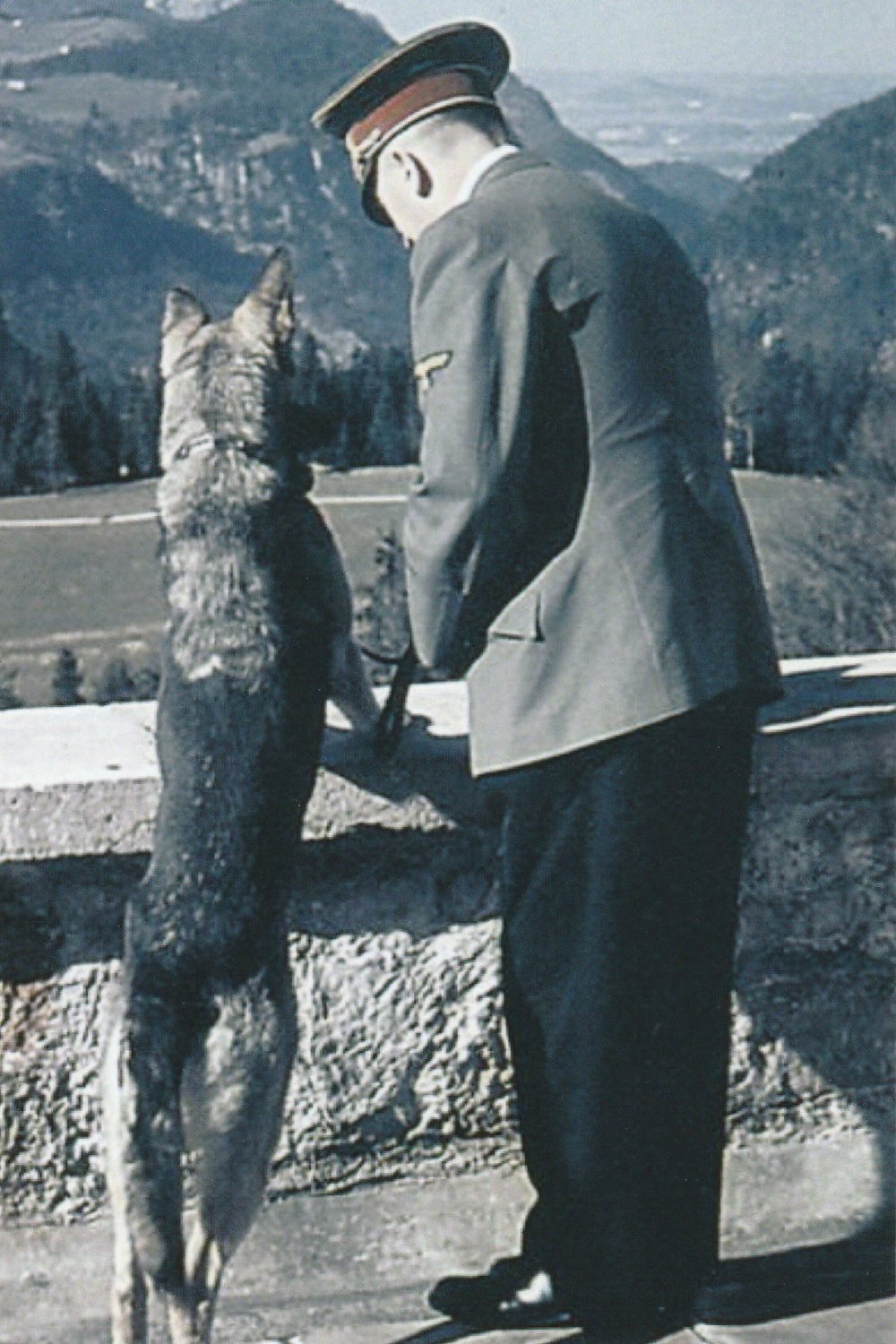 GERMAN WW2 Photo-- Adolf Hitler With Dog Blondi