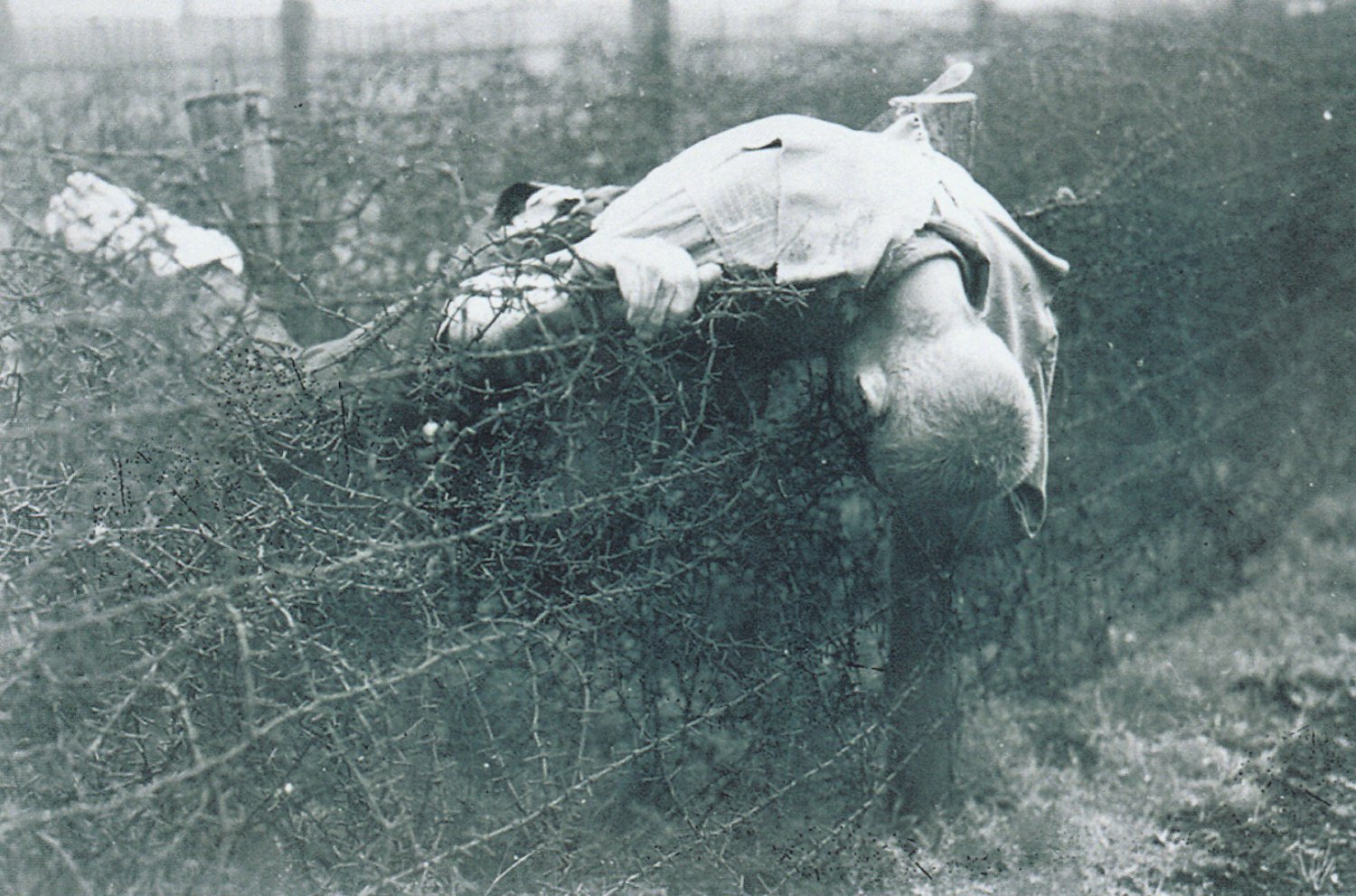 German WW2 photo - Concentration Camps