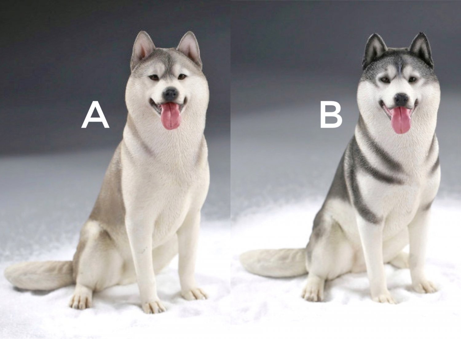 Siberian Husky Sitting realistic puppy figurine