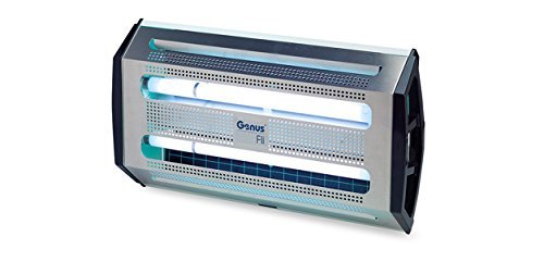 Genus Spectra Fly Light