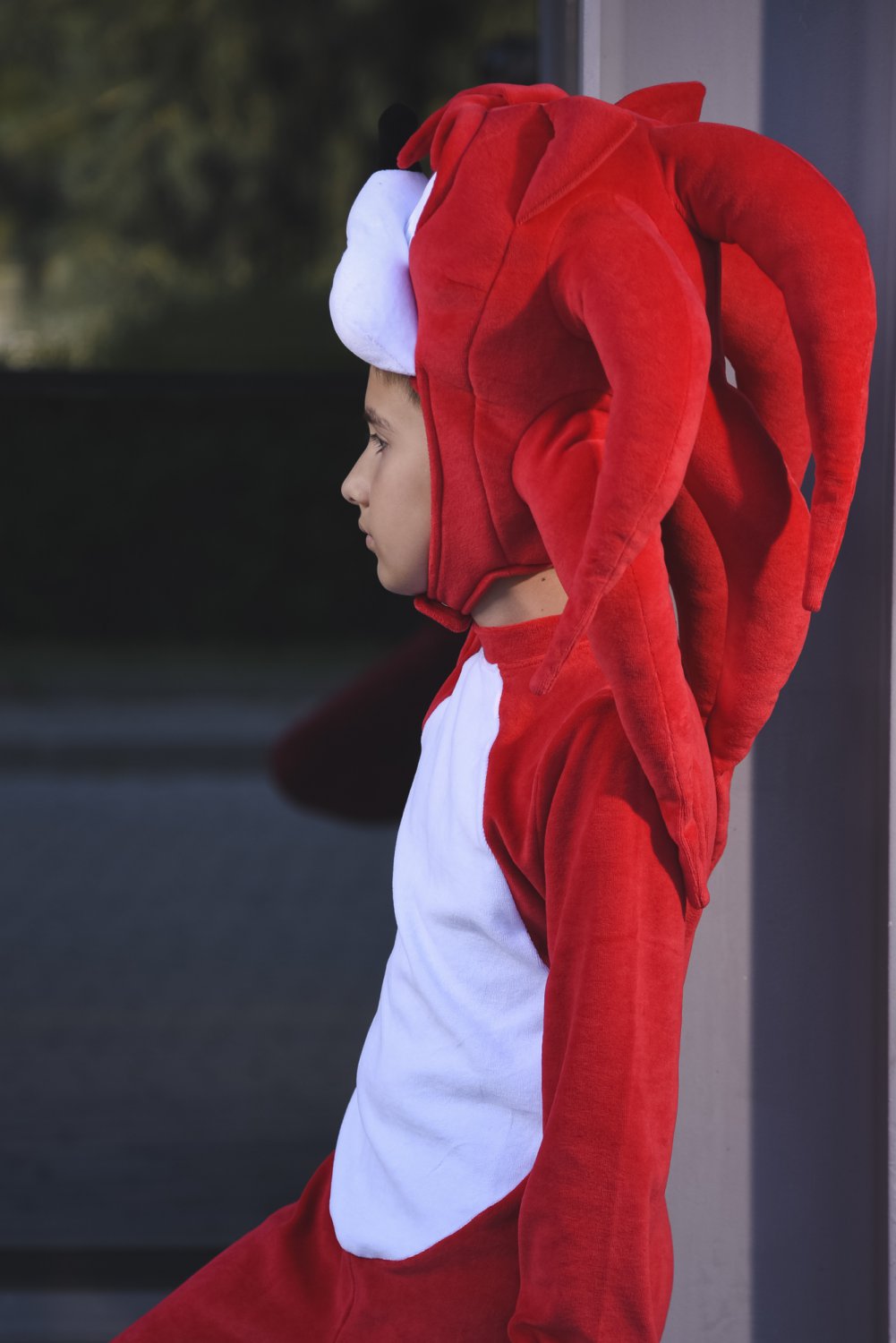Knuckles Red Sonic Costume, Kid's Costume, Party Costume,Halloween ...