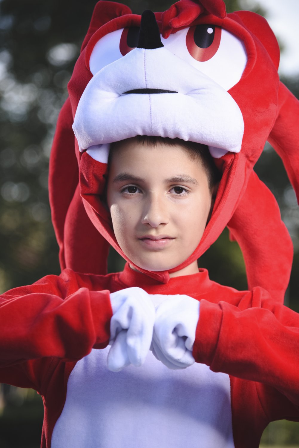 Knuckles Red Sonic Costume, Kid's Costume, Party Costume,Halloween ...