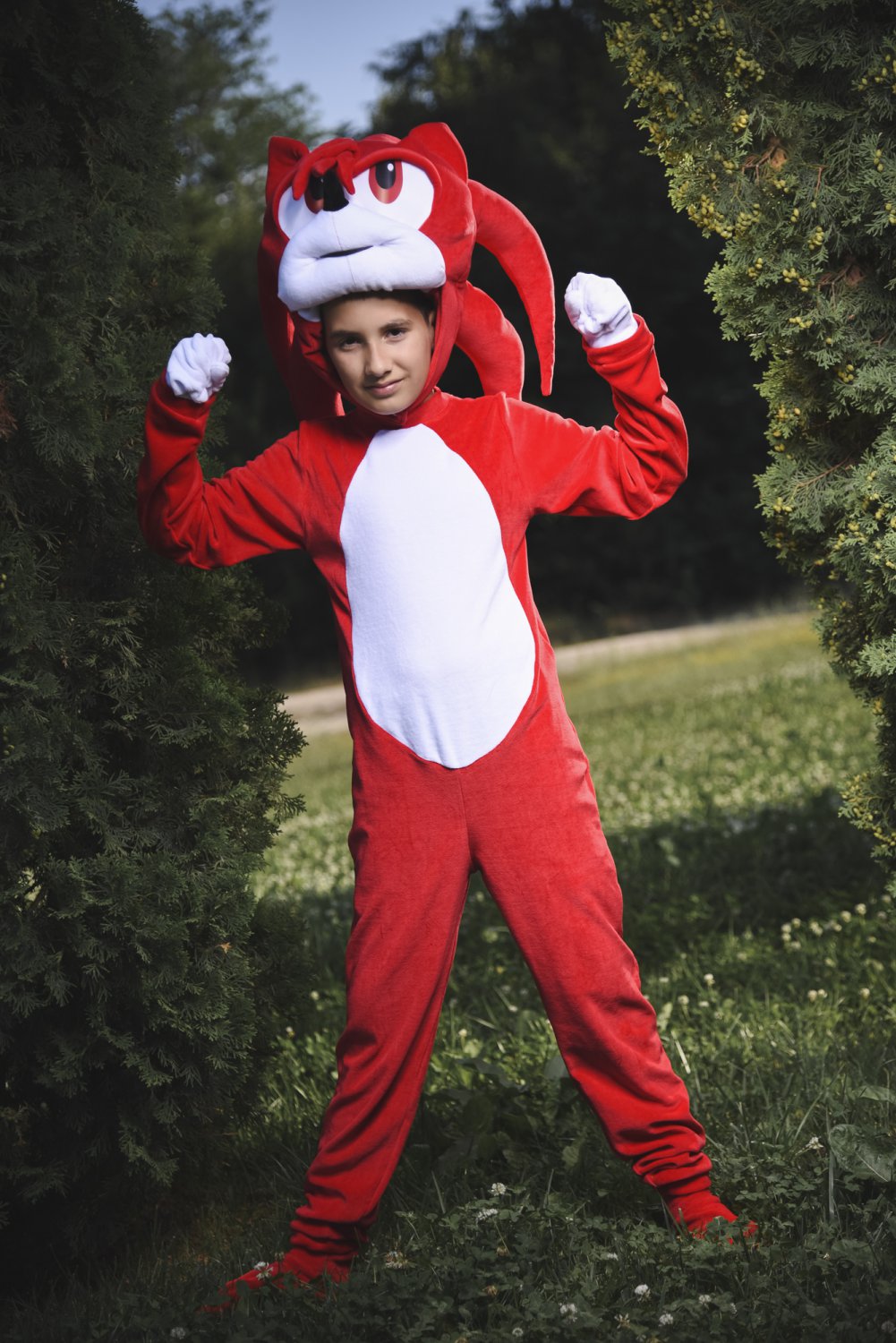 Knuckles Red Sonic Costume, Kid's Costume, Party Costume,Halloween ...