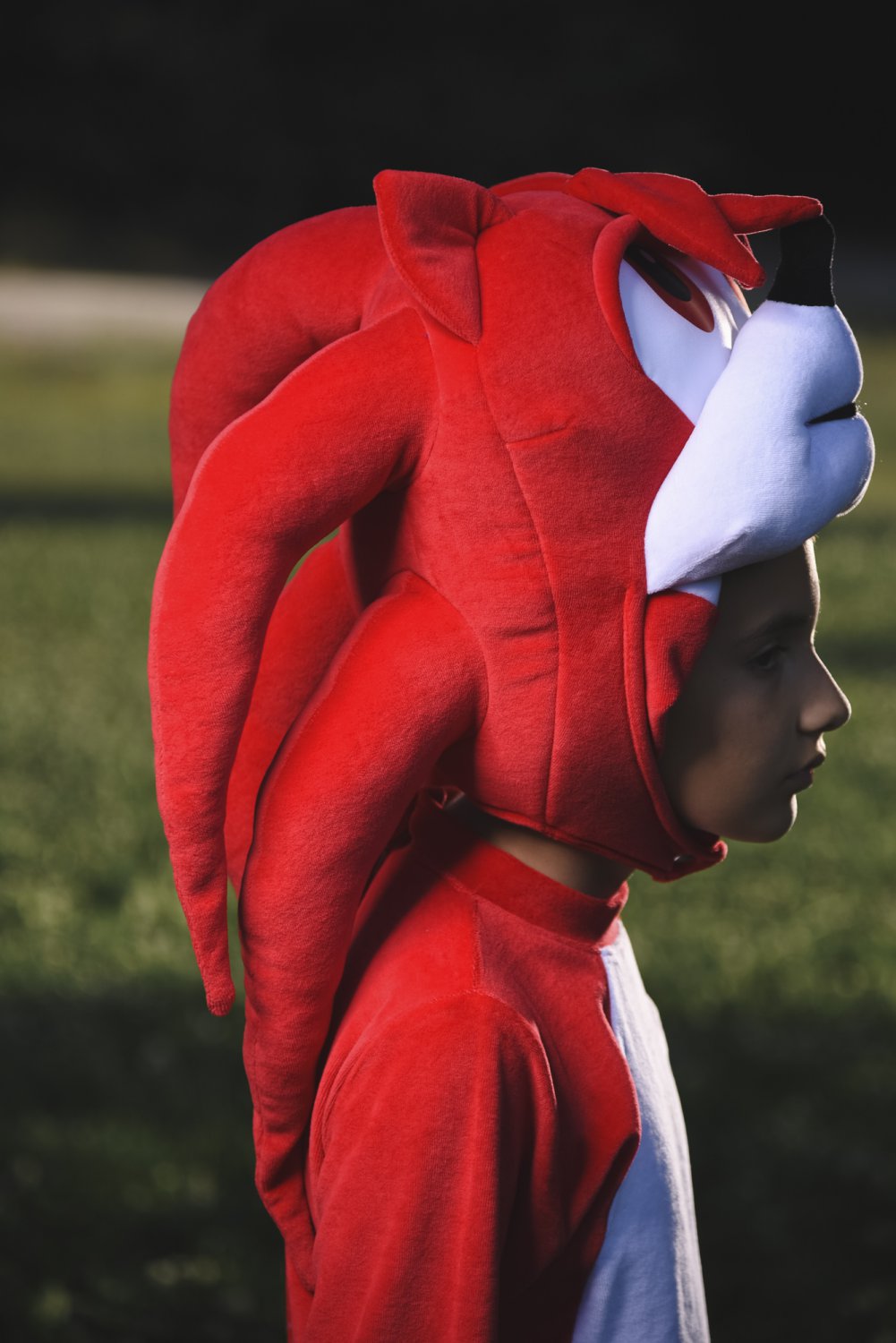 Knuckles Red Sonic Costume, Kid's Costume, Party Costume,Halloween ...