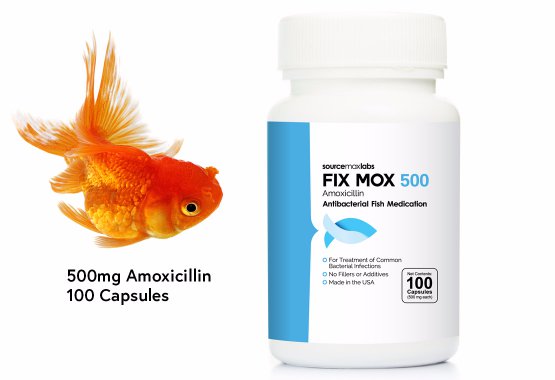 fish mox Aquarium Treatment Fish Mox Forte 250mg/500mg Capsules 50