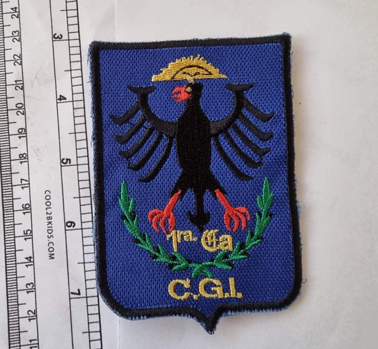 Argentina Gendarmeria Nacional Border Police Special CGI Team Patch NOS #3