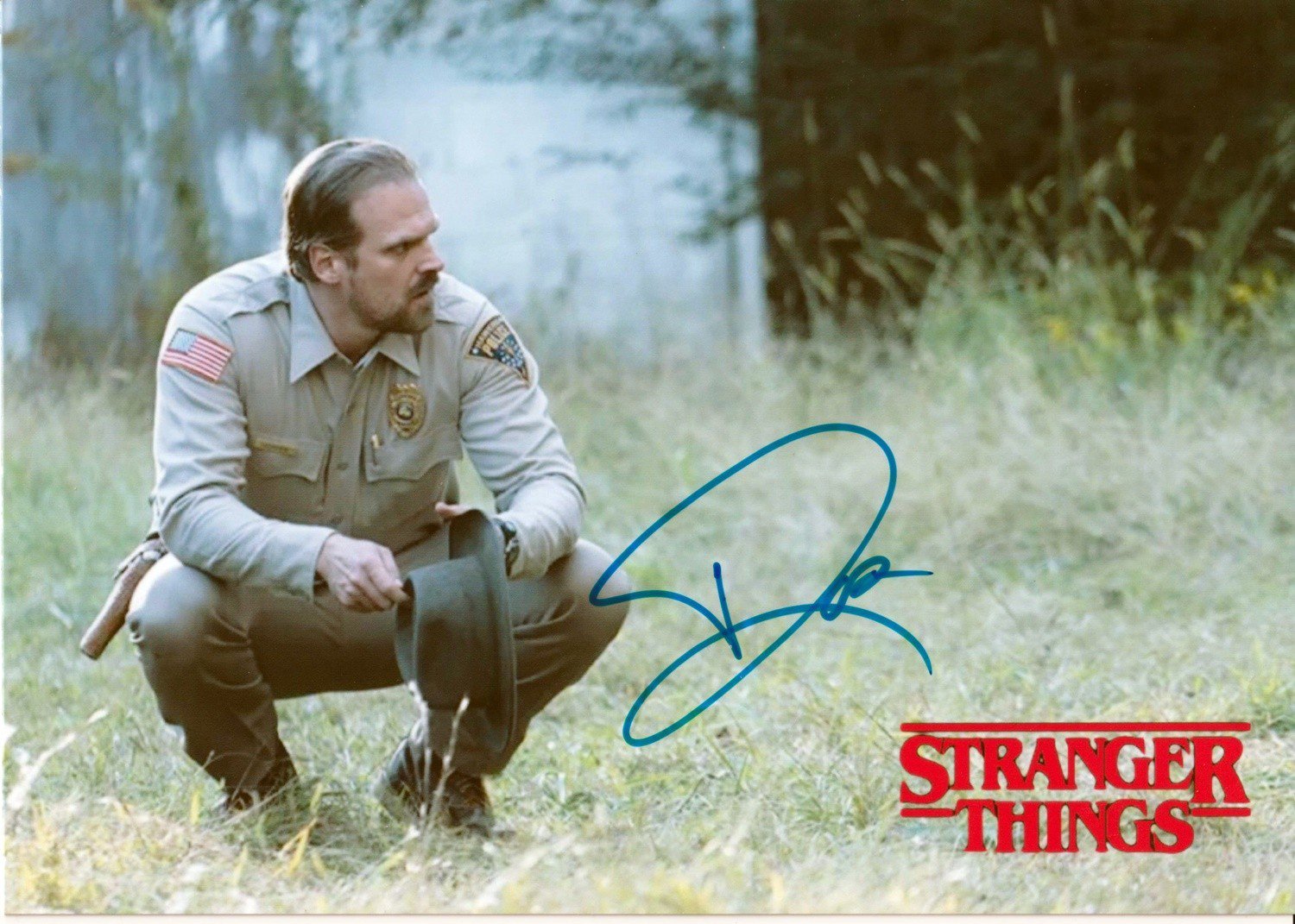DAVID HARBOUR STRANGER THINGS Signed Photo +COA & proof of signing ...