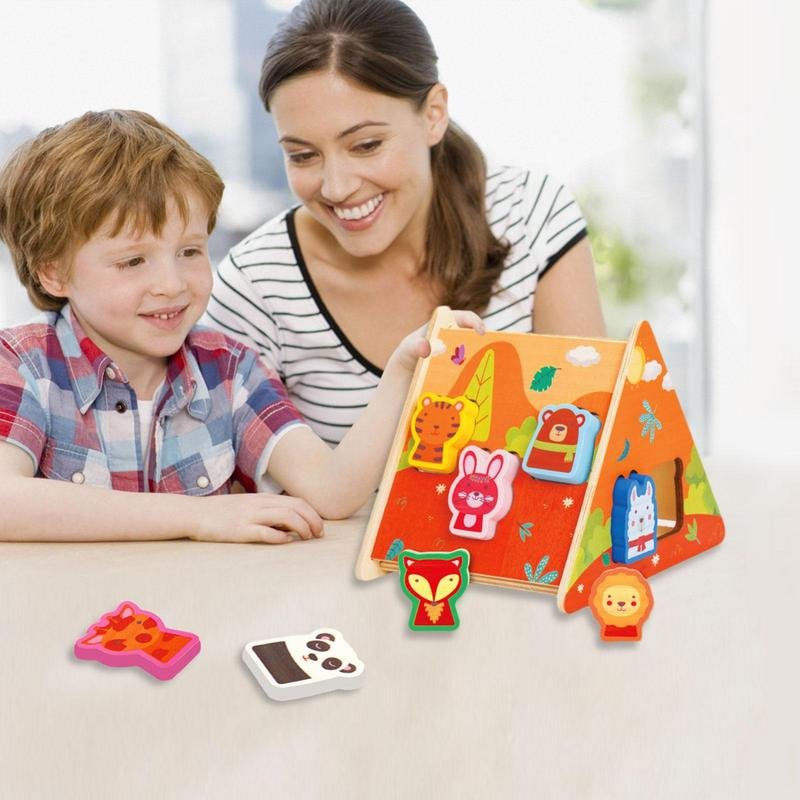 Shape Sorter Toy Cartoon Shape Matching Game Montessori Early Learning ...
