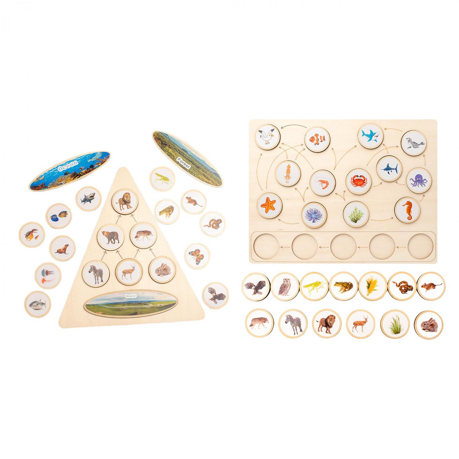 Life Cycle Puzzle, Cycle Tray, Cartoons Puzzles Jigsaw for Preschool ...