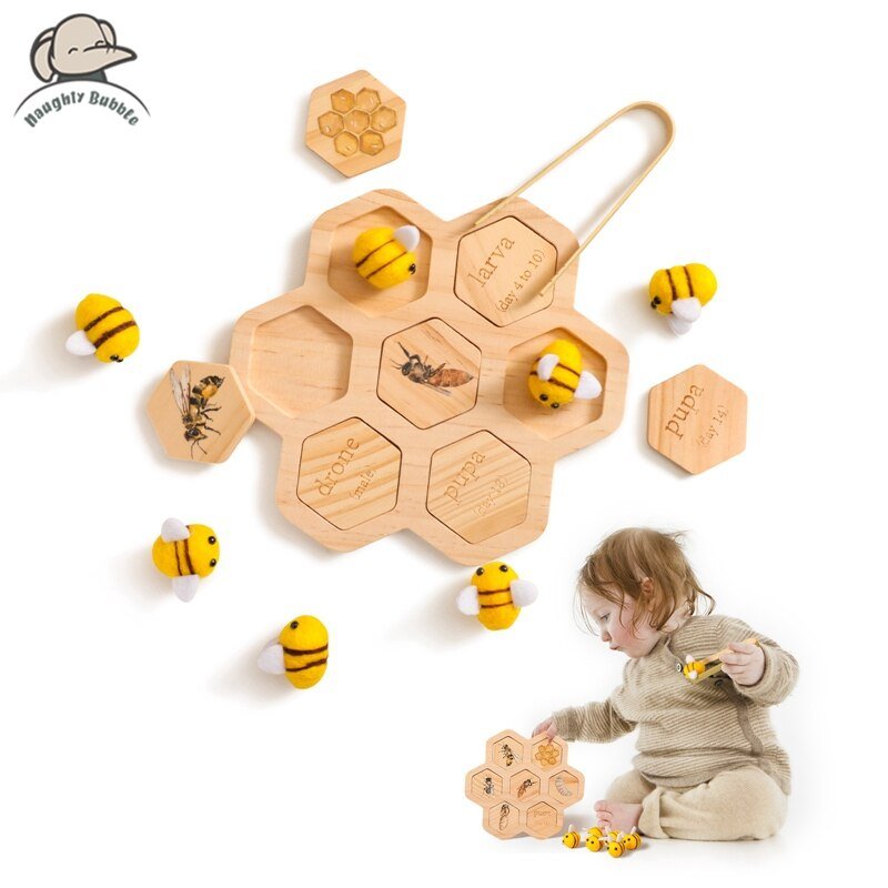 Honeybee Growth Cycle Cognitive Card Wooden Beehive Bees Grab Toys