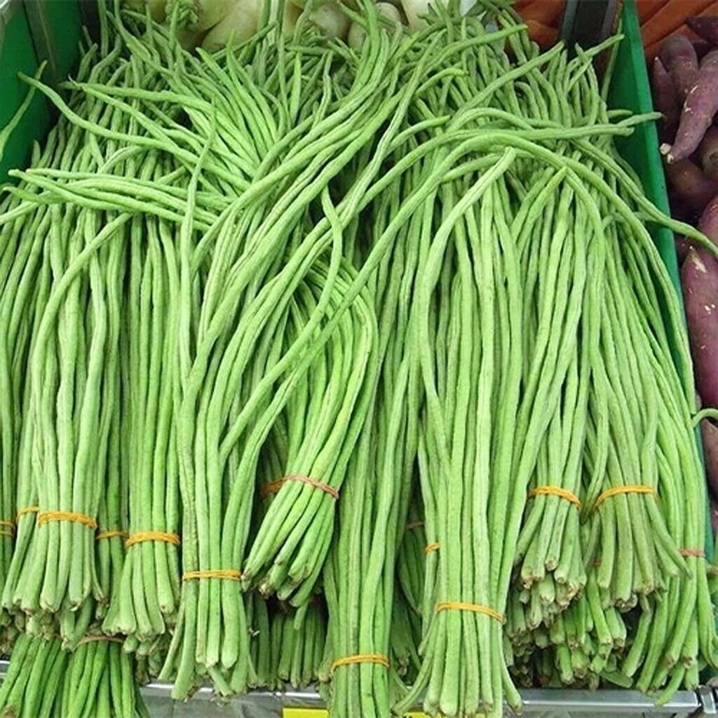 Rare Long Snake Beans Seeds Home Gardening Easy Planting Vegetable ...