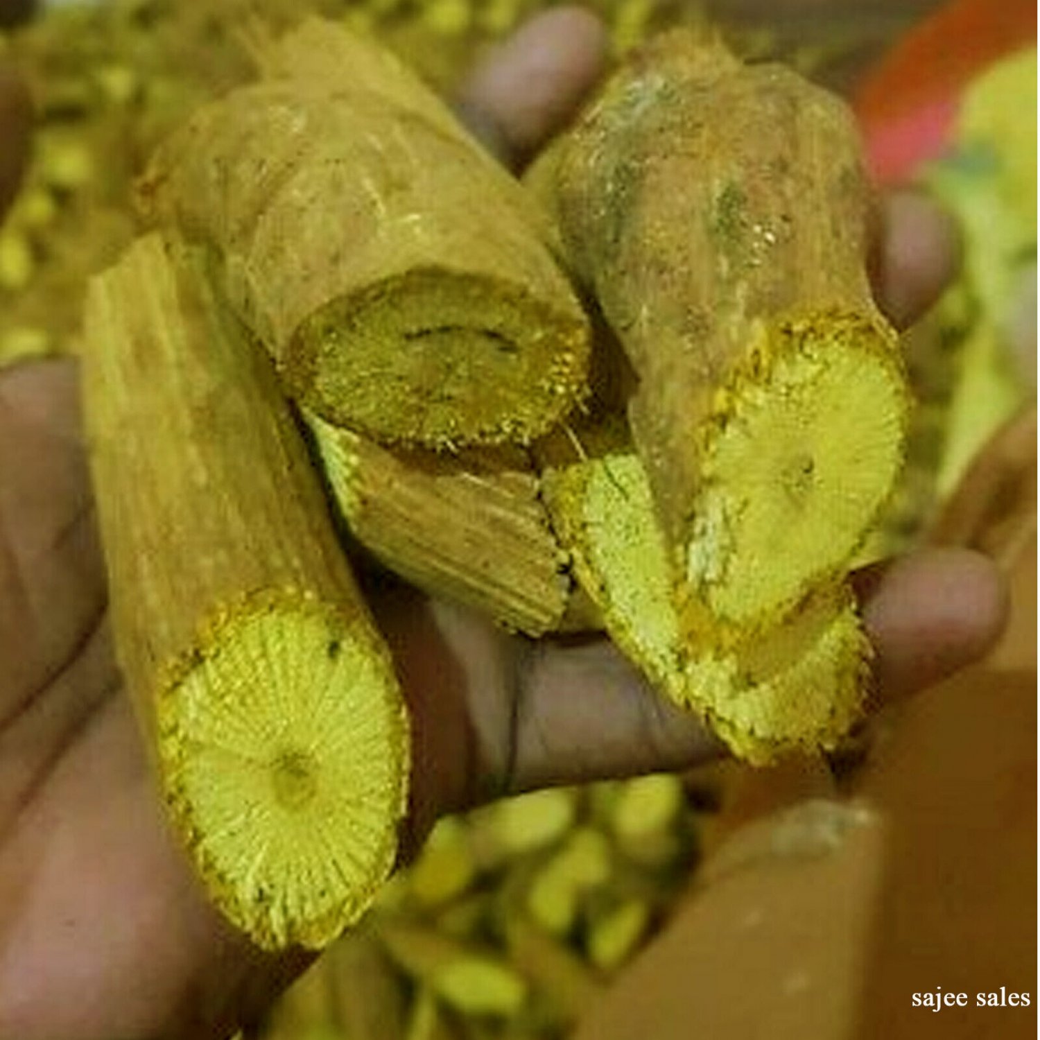 Venivel Calumba Wood sticks powder coscinium fenestratum Venival Ceylon ...