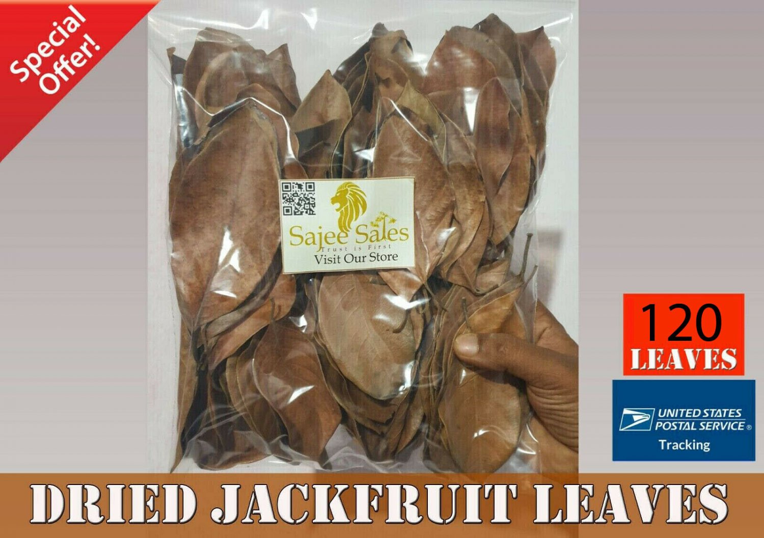 120 Dried Jack Leaves Jackfruit Leaf Bio film Shrimp Aquarium Betta ...