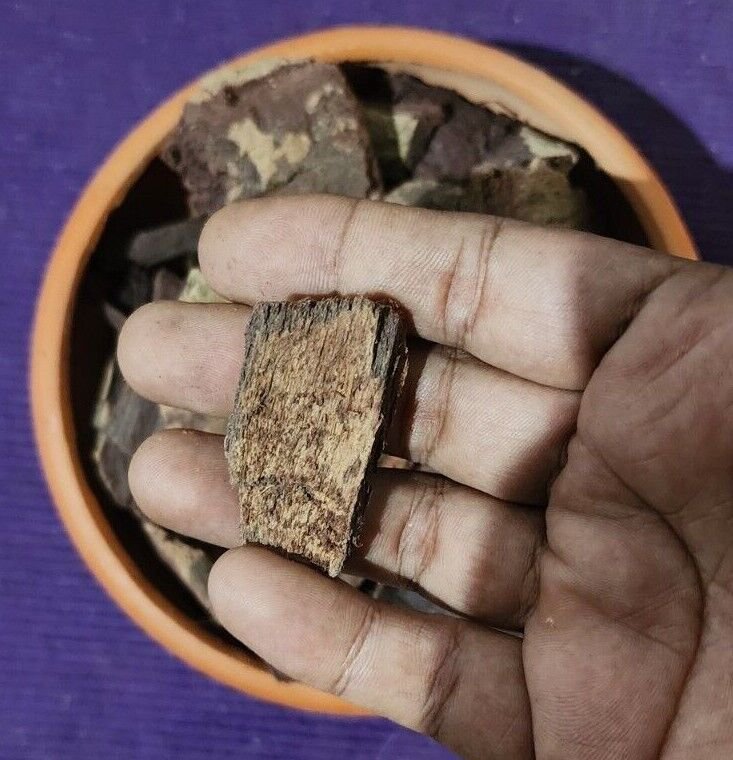 Dried Jamun Syzygium Cumini Bark Java plum Plant Control Blood Sugar Level