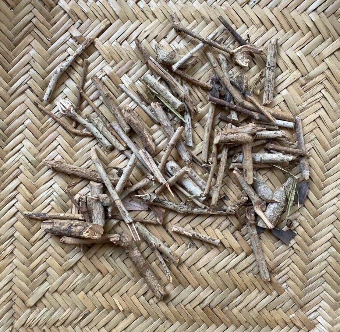 Barleria prionitis Herb Porcupine Flower Yellow Nail Dye Vajradanti ...