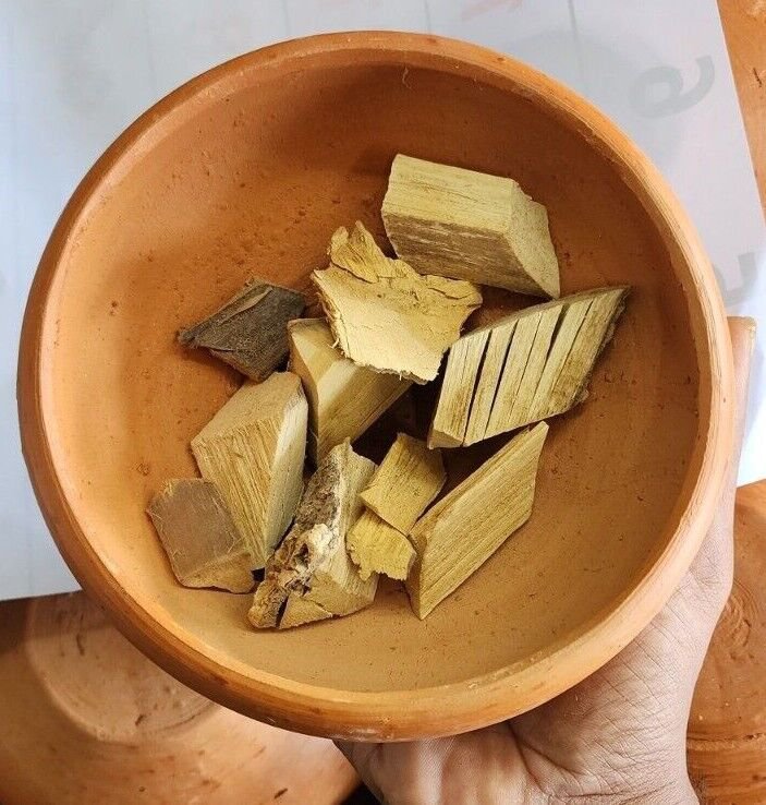 Dried Stereospermum chelonoides Whole Plant Messenger of Spring Padri Tree