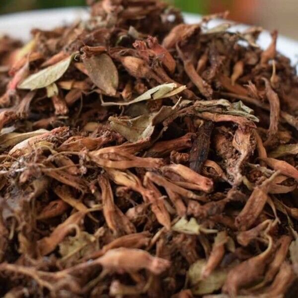 Rare Woodfordia Fruticosa / Fire Flame Bush / Red Bell Bush Dry Flowers ...