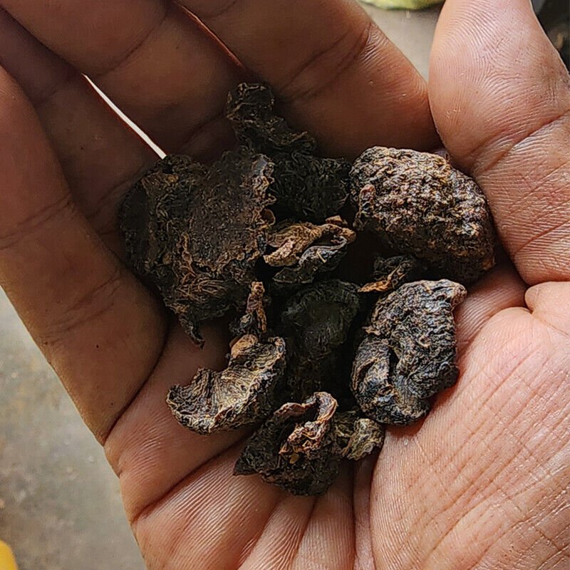 Dried Amla Seeds Indian Gooseberry Phyllanthus emblica Increases memory ...