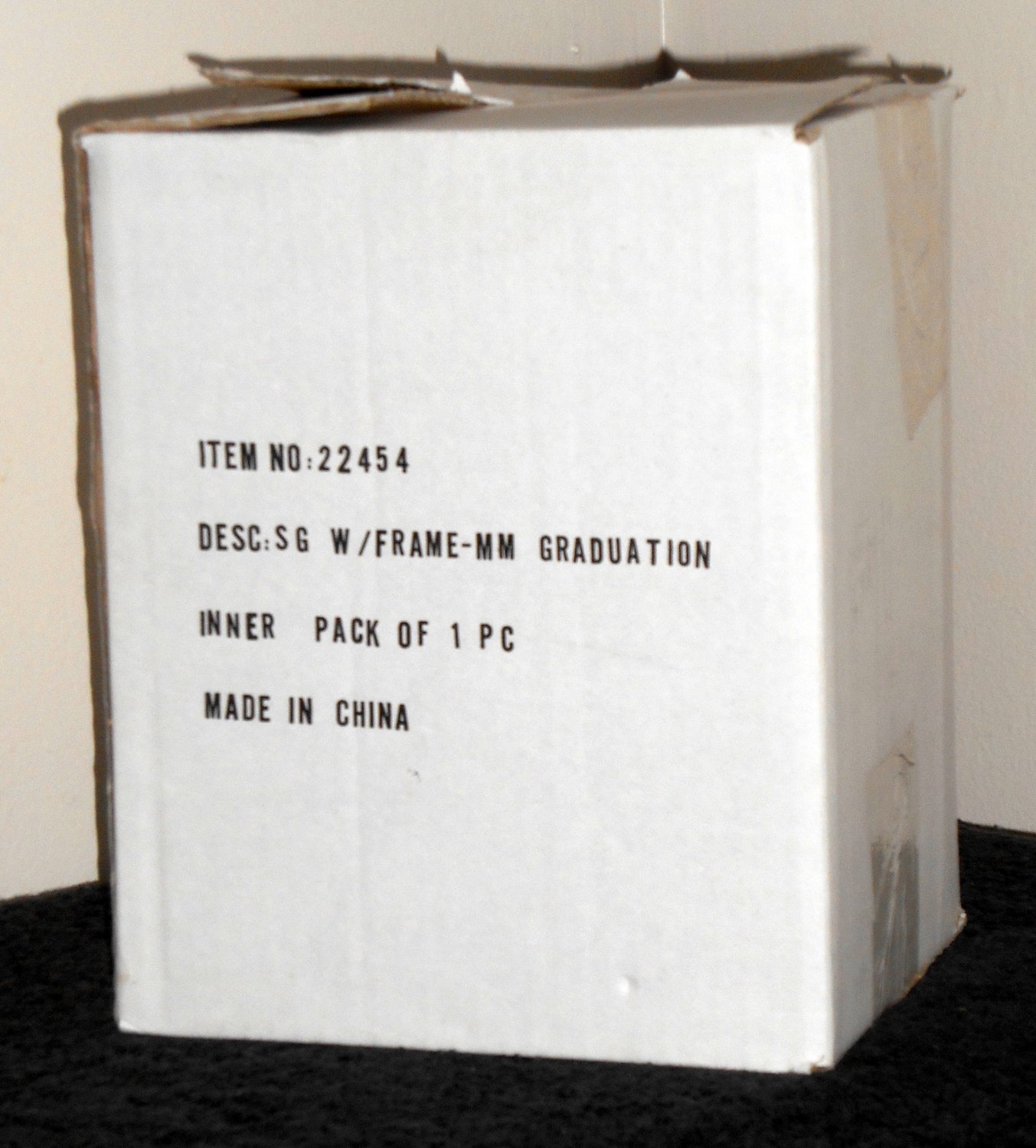 Mickey Mouse Musical Graduation Water Snow Globe Photo Goofy Donald ...