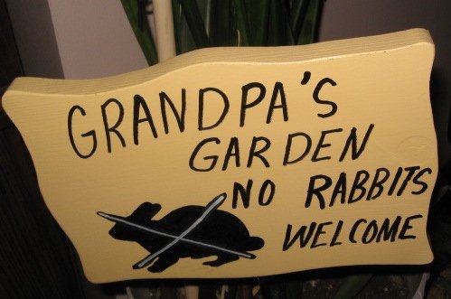 Grandpa's Garden No Rabbits Welcome wood garden sign