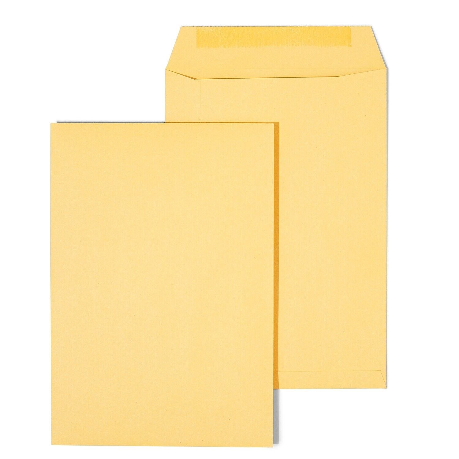 6-1/2" X 9-1/2" Brown Kraft Catalog Envelopes 100/Box