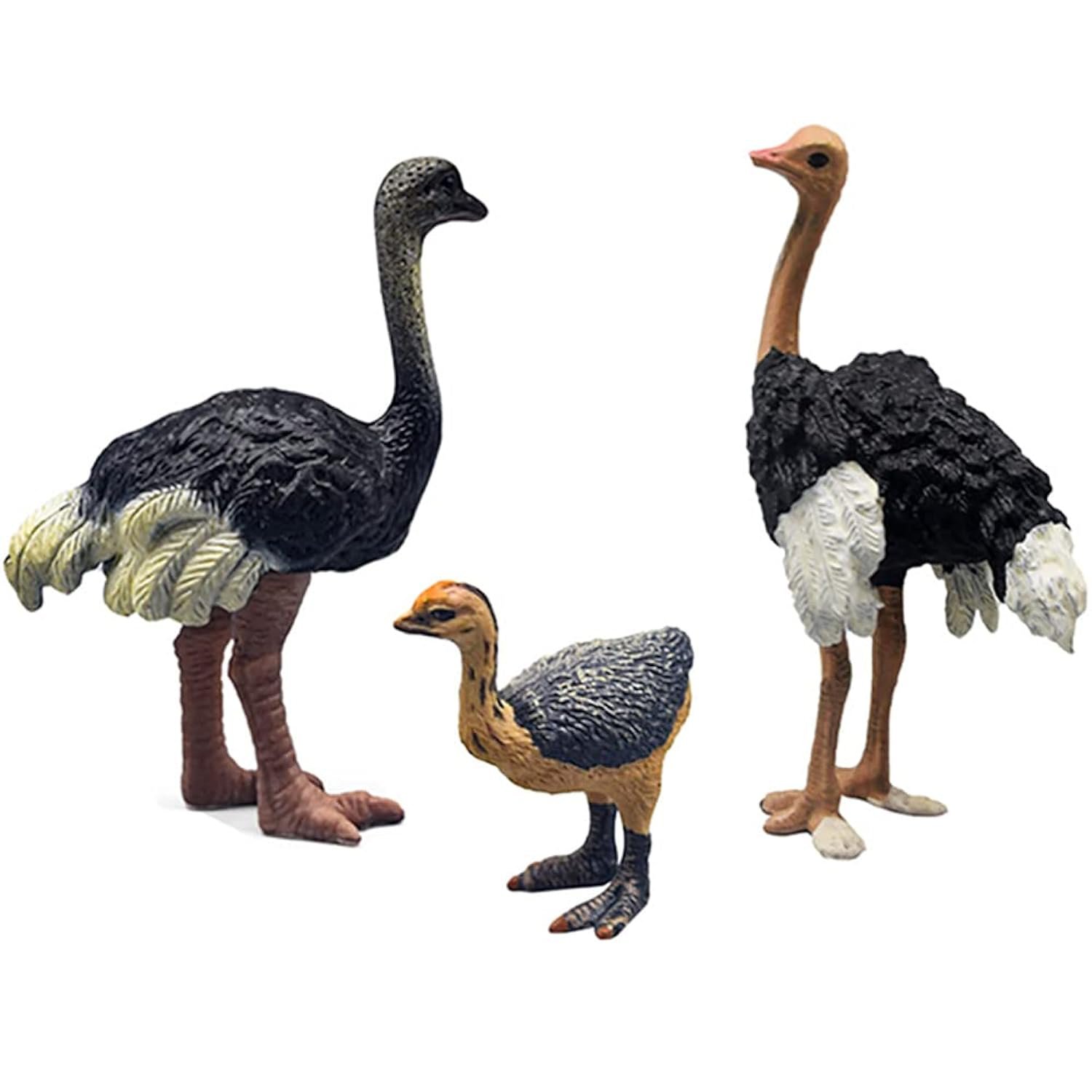3 Pcs Realistic Ostrich Family Figurines Cake Topper, Plastic Wildlife ...