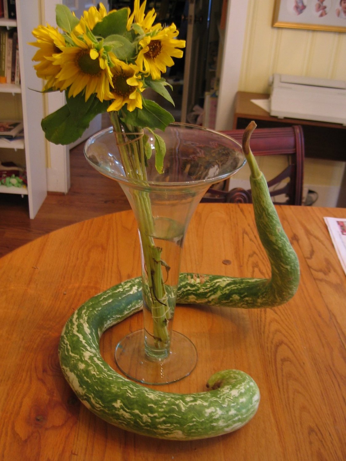 Rare Serpentine Snake Gourd Squash Italian Cucuzzi Caravazzi - 10 Seeds