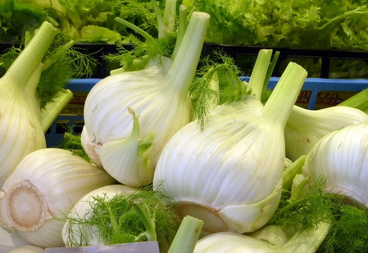 Sweet Finocchio Fennel Foeniculum vulgare dulce Heirloom - 200 Seeds