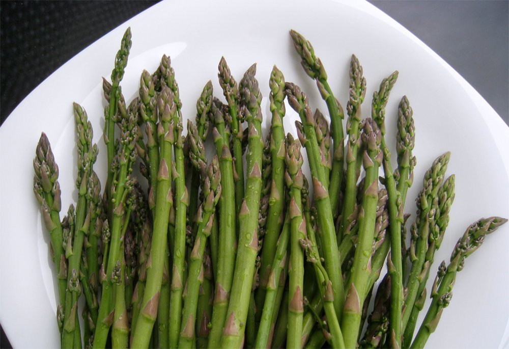 Organic Heirloom Asparagus Vegetable Asparagus officinalis - 50 Seeds