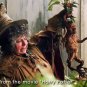 Rare Alraun Mandrake Root Atropa Mandragora officinarum - 5 Seeds