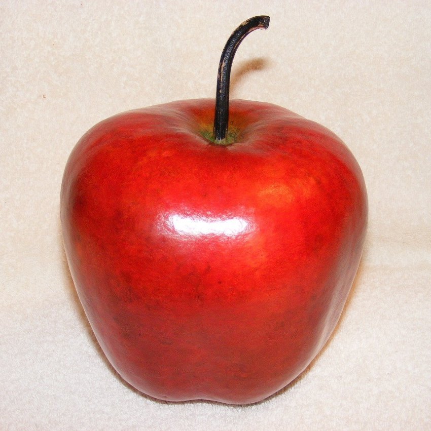 Heirloom Large Apple Gourd Lagenaria siceraria - 8 Seeds