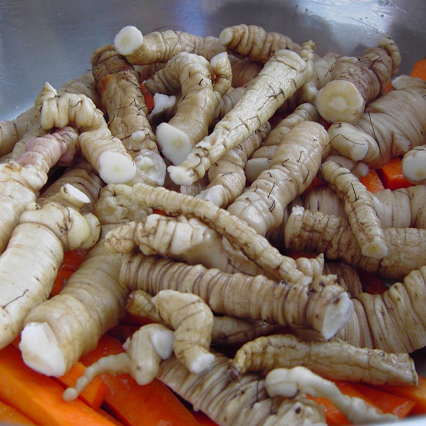 Scottish Heirloom Sugar Root Crummock Perennial Skirret Sium sisarum ...