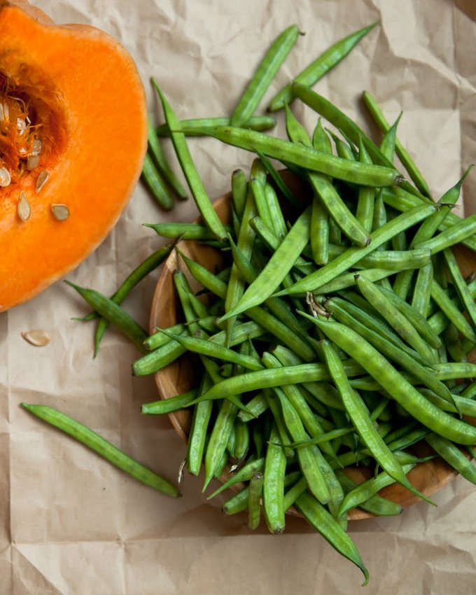 Rare Cluster Bean Guar Cyamopsis tetragonolobus - 15 Seeds