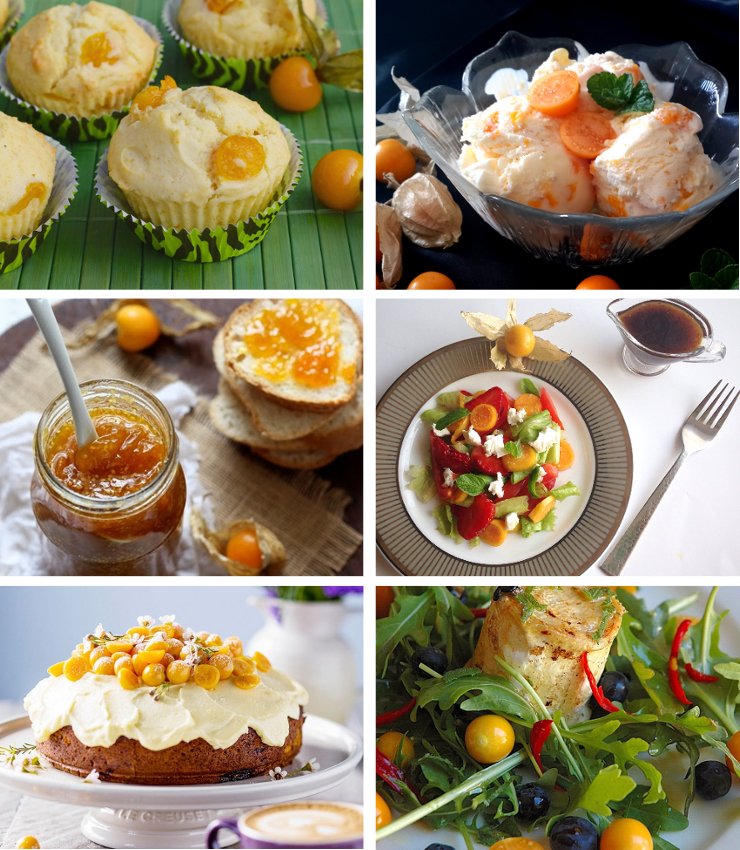 Bulk Uchuva Fruit Organic Giant Poha Berry Physalis Peruviana - 500 Seeds