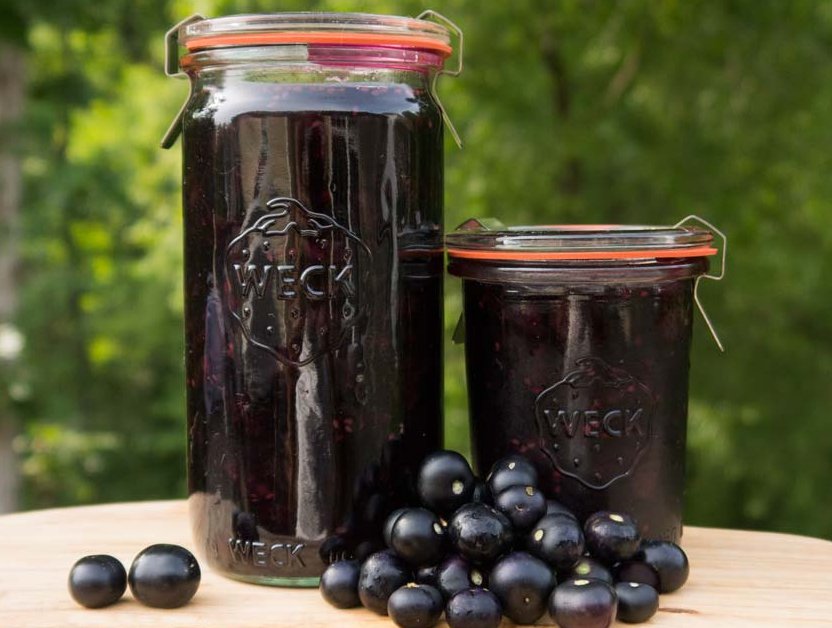 Organic Black True Wonderberry Sunberry Solanum burbankii - 30 Seeds