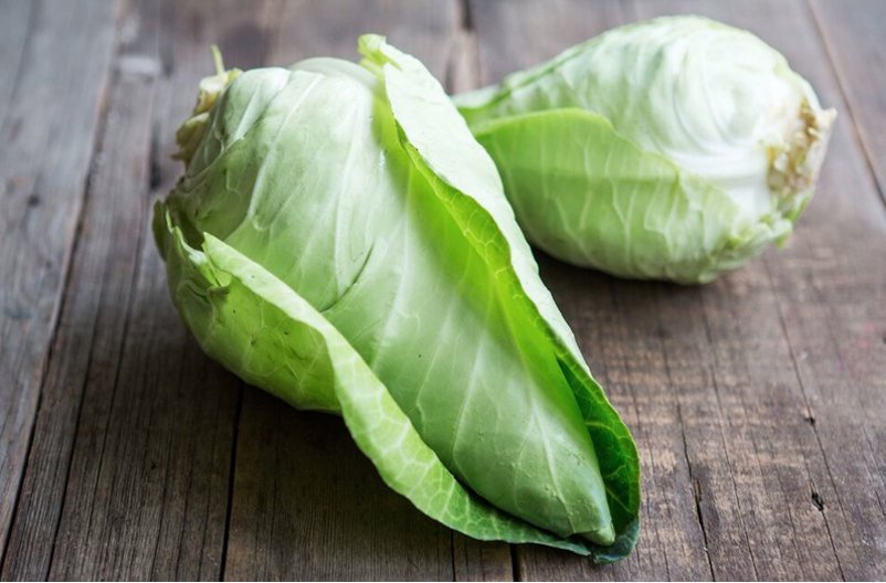 Rare Baby Arrowhead Cabbage Brassica oleracea capitata - 20 Seeds