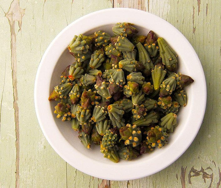 Cane Cholla Chain Link Cactus Hardy Cylindropuntia imbricata - 20 Seeds