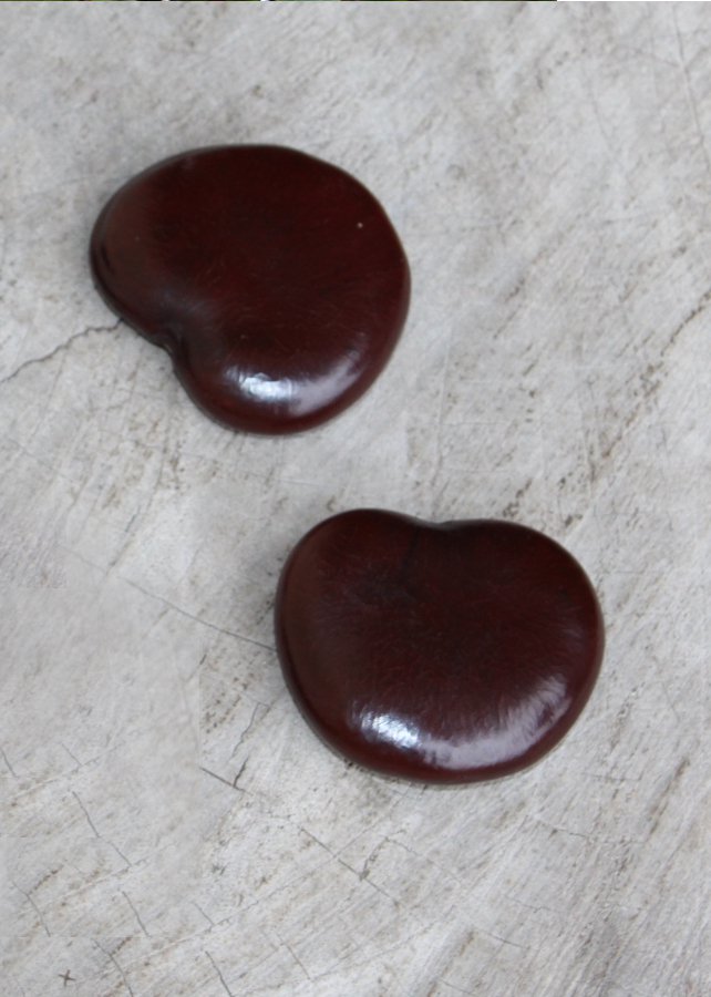 Giant Rainforest Sea Heart Liana Entada gigalobium - 2 Huge Seeds